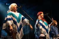 Gorey Market House Festival | Music & Arts Festival in Wexford